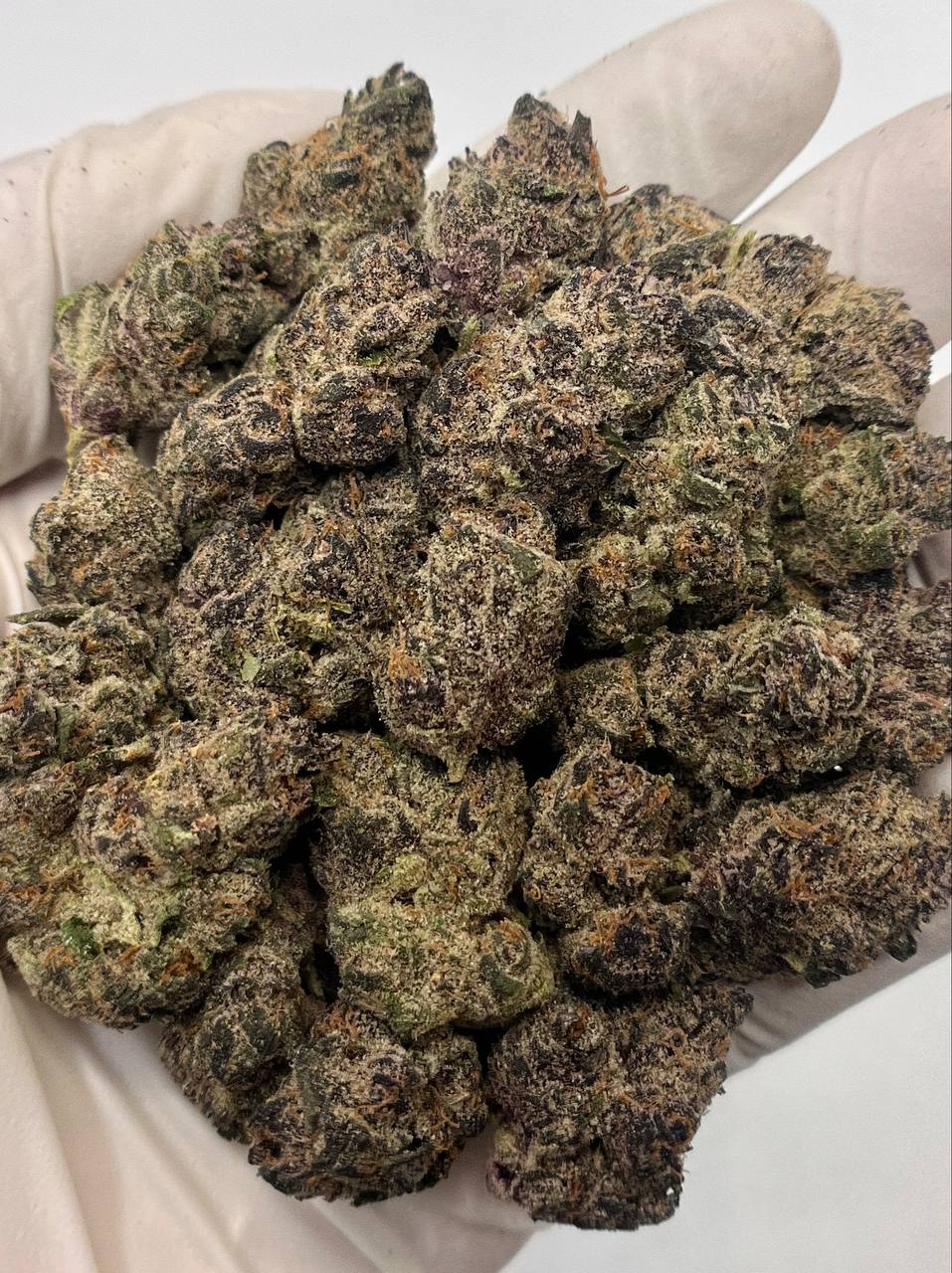 In Stock Products – High Score